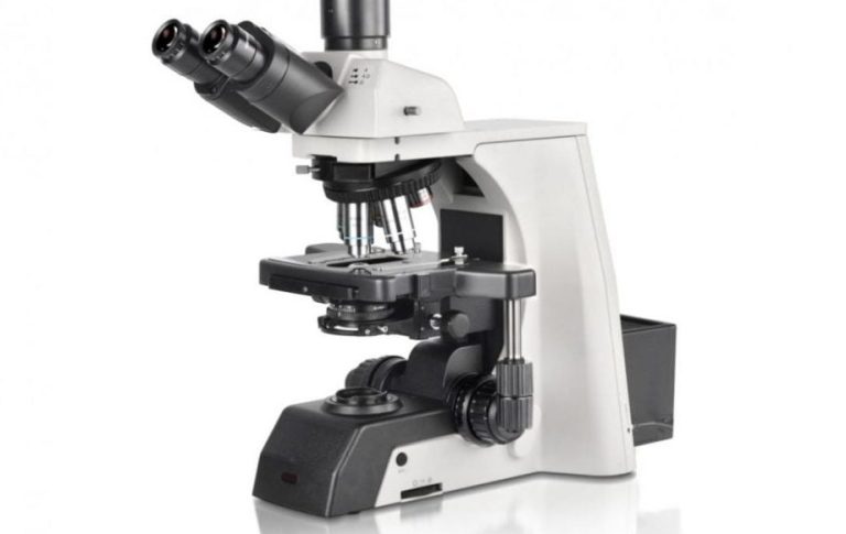 Microscopios ópticos y electrónicos: Diferencias