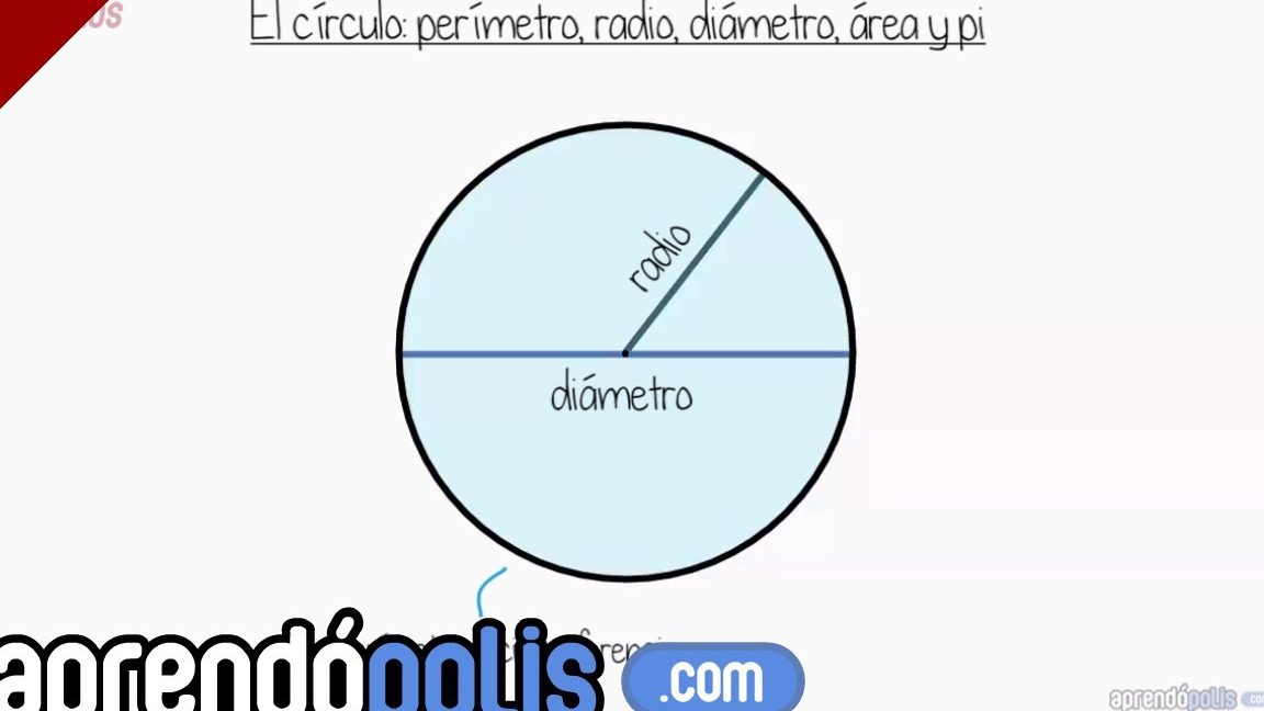 Radio Y Diámetro Explicación En Geometría